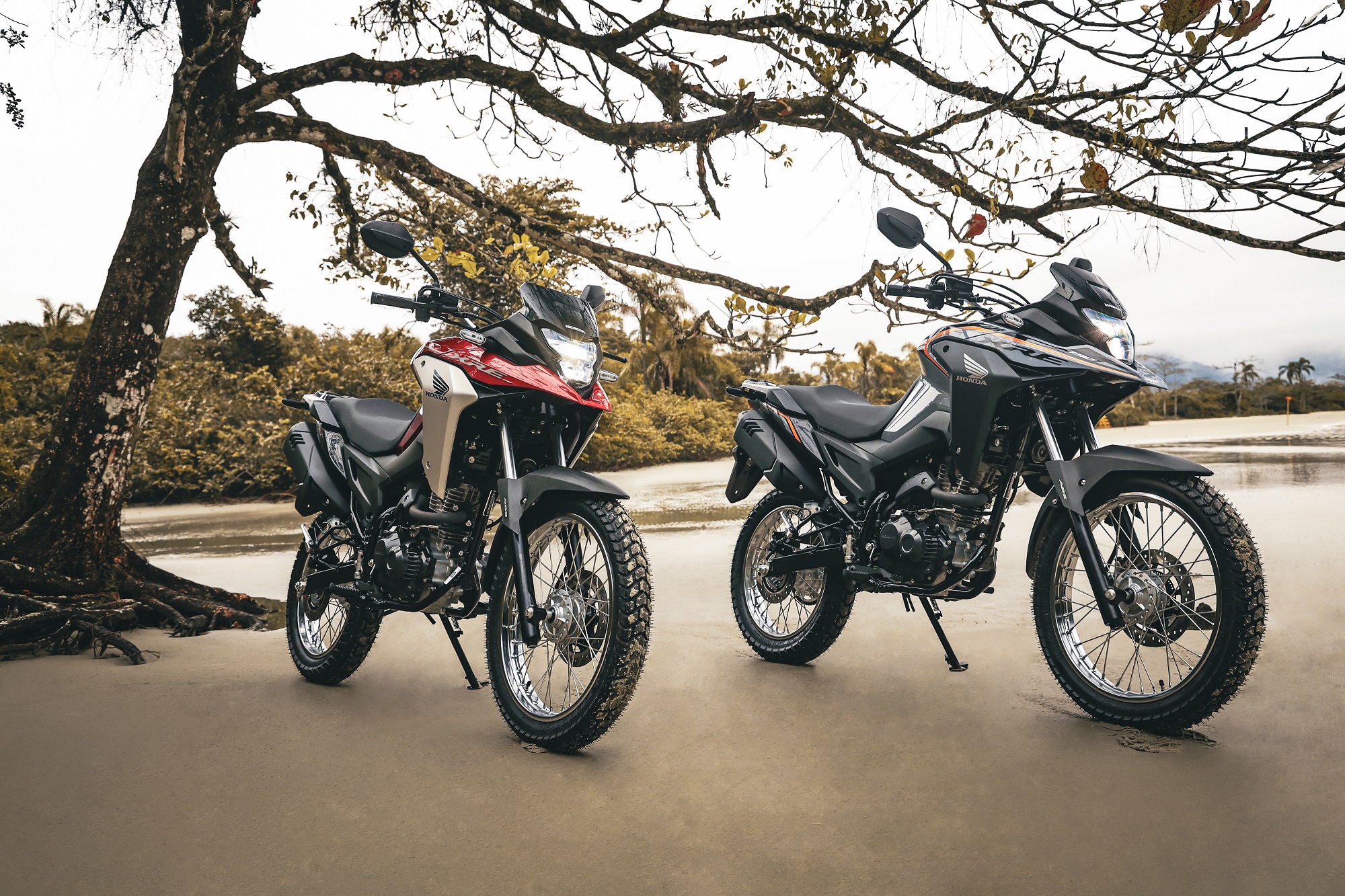 Honda NXR 160 Bros 2025: renovada no design, com aperfeiçoamentos ...